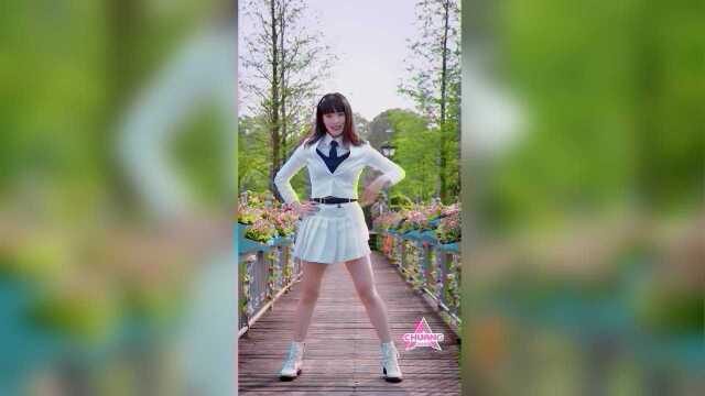 Focus Cam(Miao Jing'ou Focus): Theme Song - "You Are Everything to Me" | CHUANG 2020 - مجانية ...