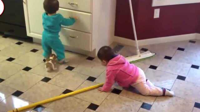 Foreigners are really daring, dare to make dogs and babies so close ...