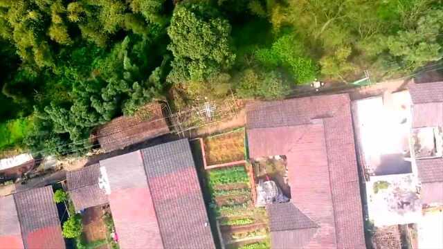 Foto udara China: desa baru yang paling indah di Leshan, Sichuan, rumah ...
