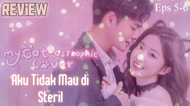 Aku Tidak Mau di Steril | Alur Cerita My Cat Astrophic Lover Eps 5-6 - ชมวิดีโอออนไลน์ คุณภาพ ...